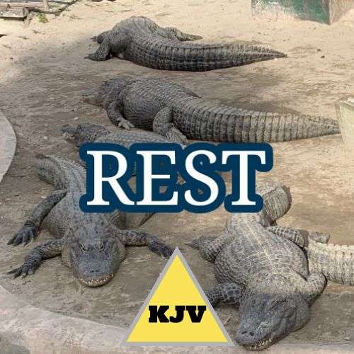 Rest - There's A Scripture For That (KJV) Version - PATHWAY365